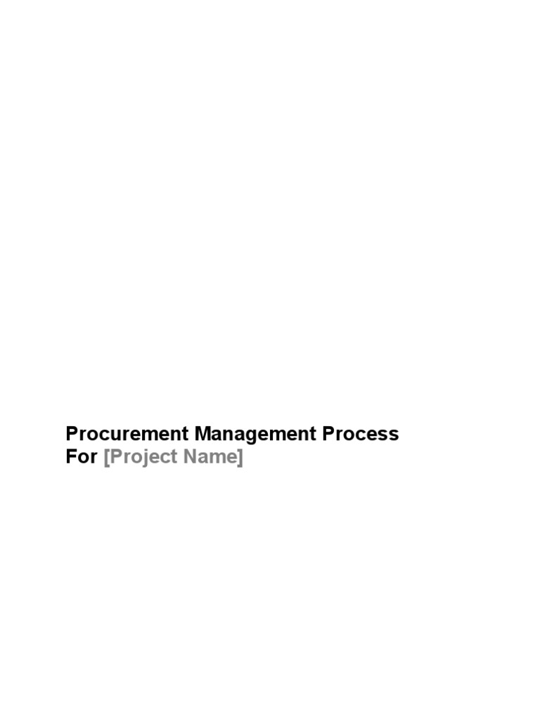 Template - Procurement Management Process | PDF | Procurement | Project ...