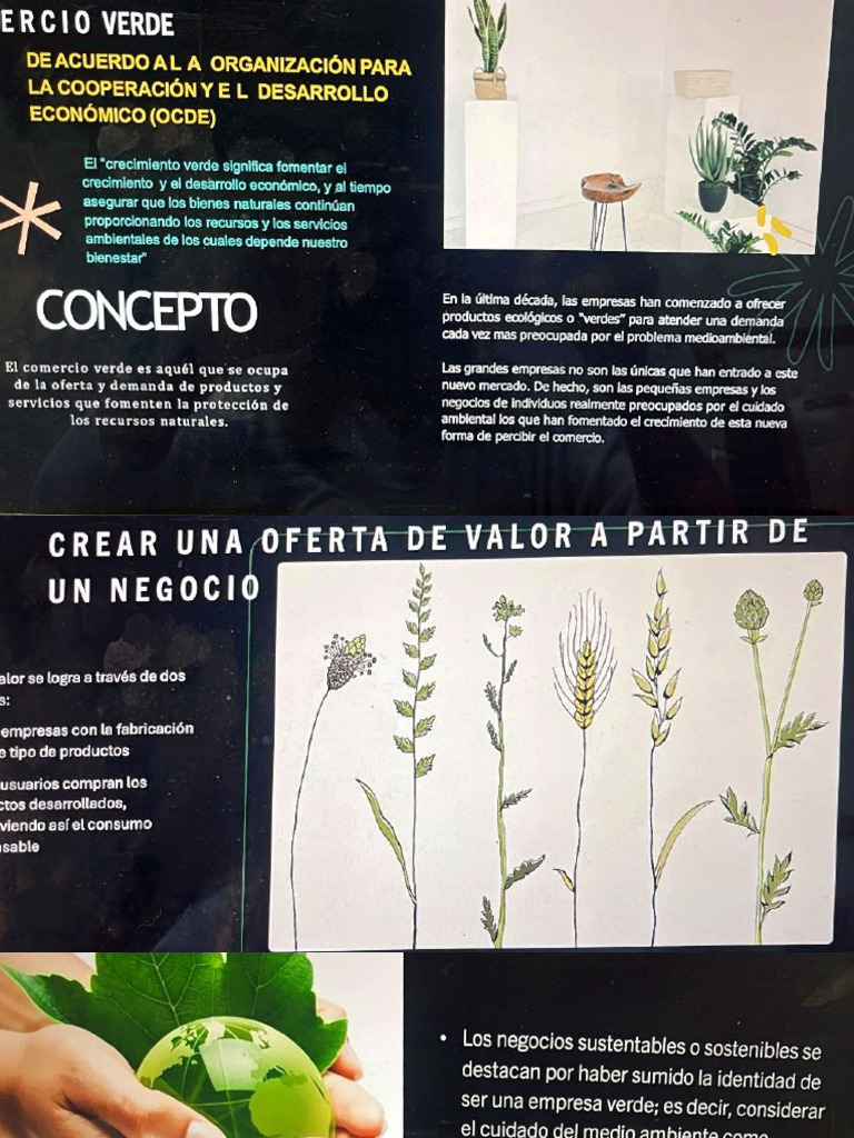 Comercio Verde | PDF