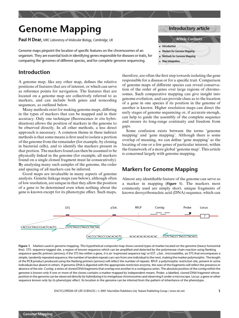Understanding Genome Mapping Techniques | PDF
