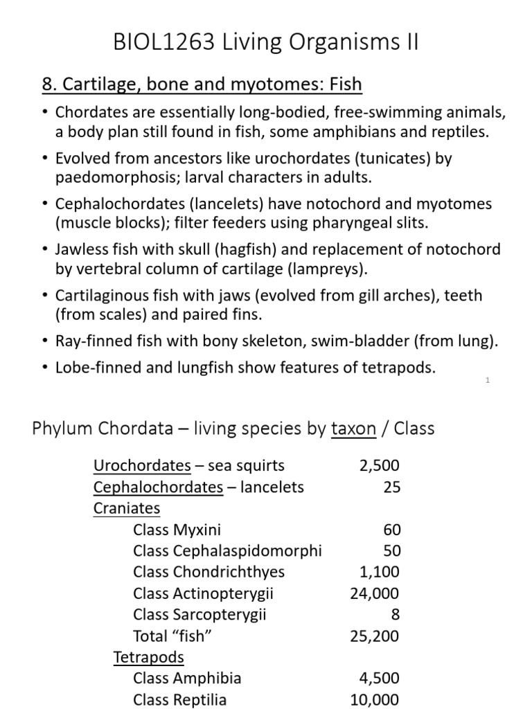 BIOL1263 Lecture 8 Fish 2025 | PDF | Vertebrates | Chordates