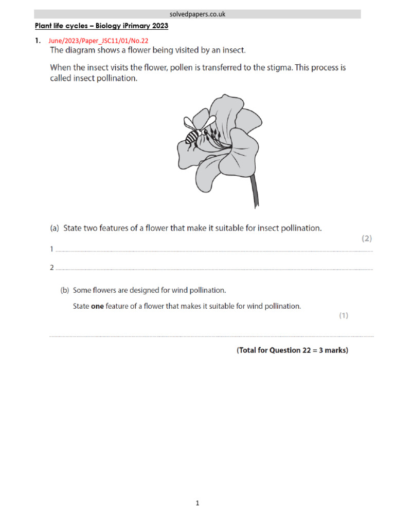 2023 Plant Life Cycles Edexcel Biology IPrimary | PDF