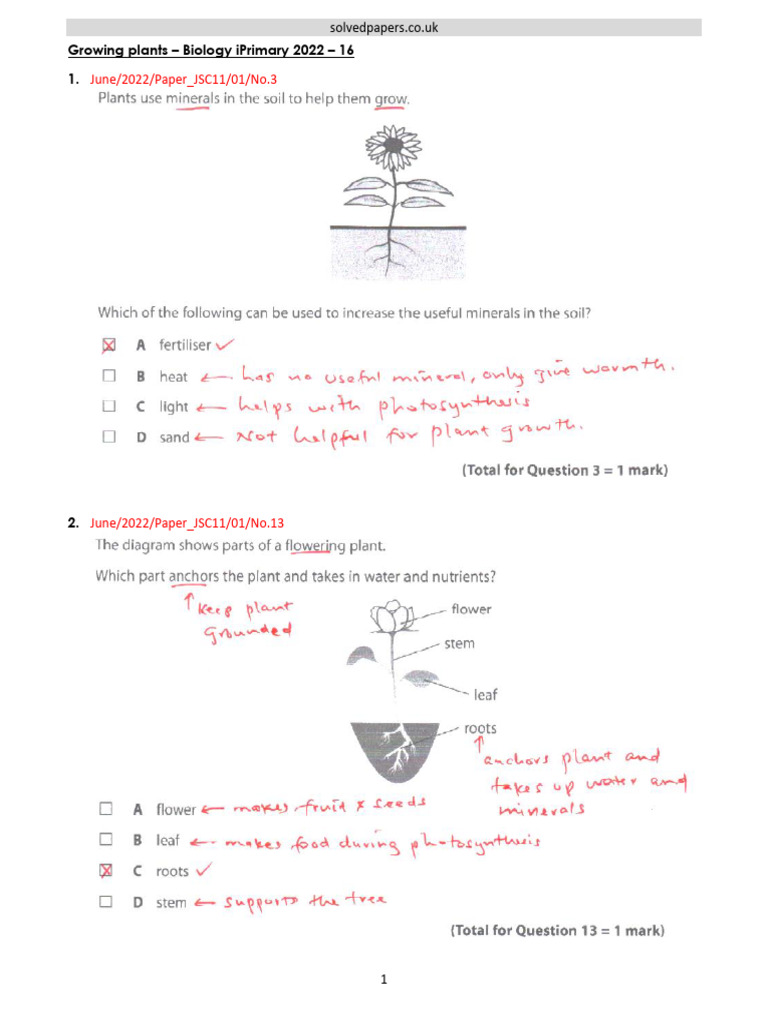 2022 16 Growing Plants Edexcel Biology IPrimary Solved | PDF