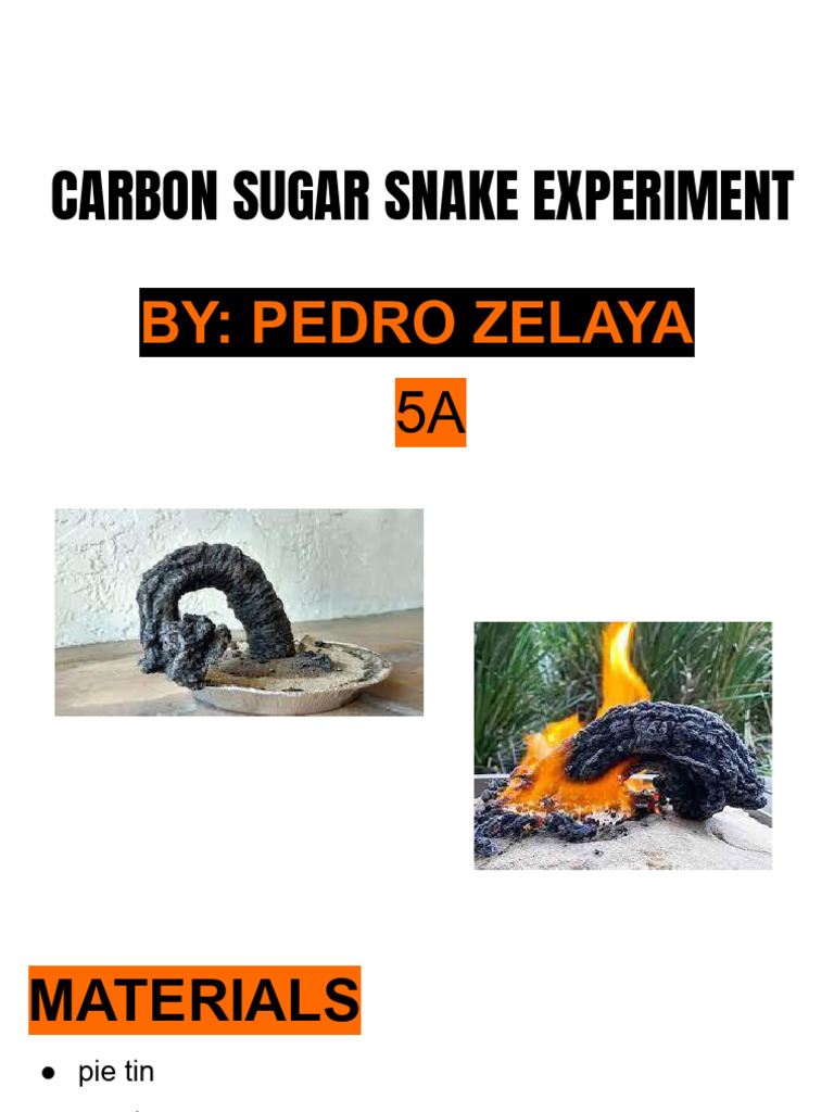 Carbon Sugar Snake Experiment Guide | PDF