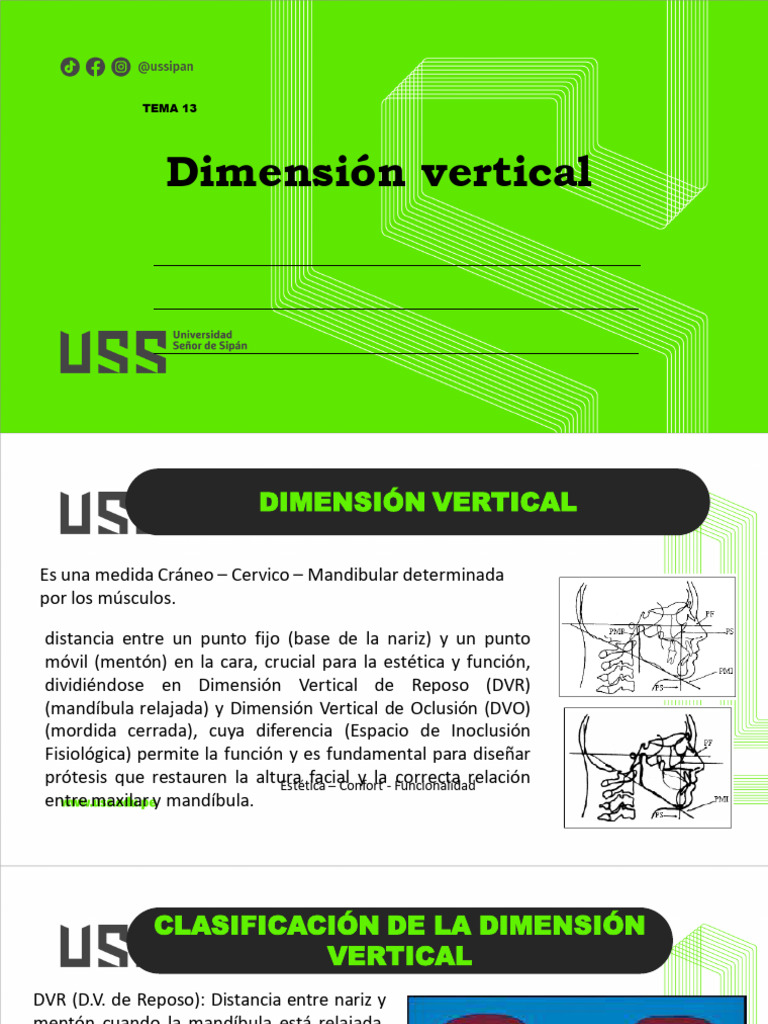 Dimensión Vertical en Odontogeriatría | PDF | Odontología | Anatomía humana