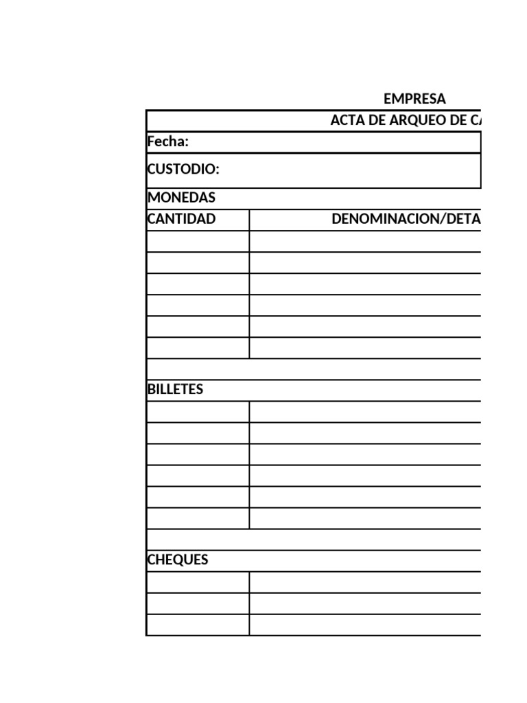 Formato - Acta Arqueo | PDF