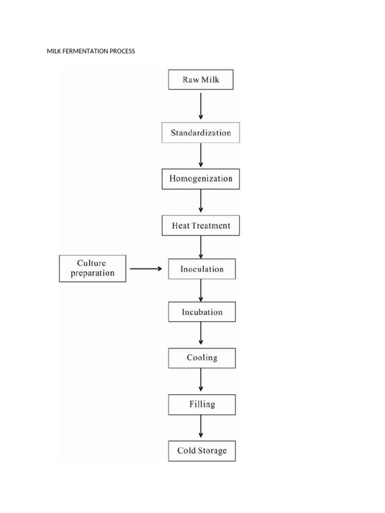 Milk Fermentation Process | PDF