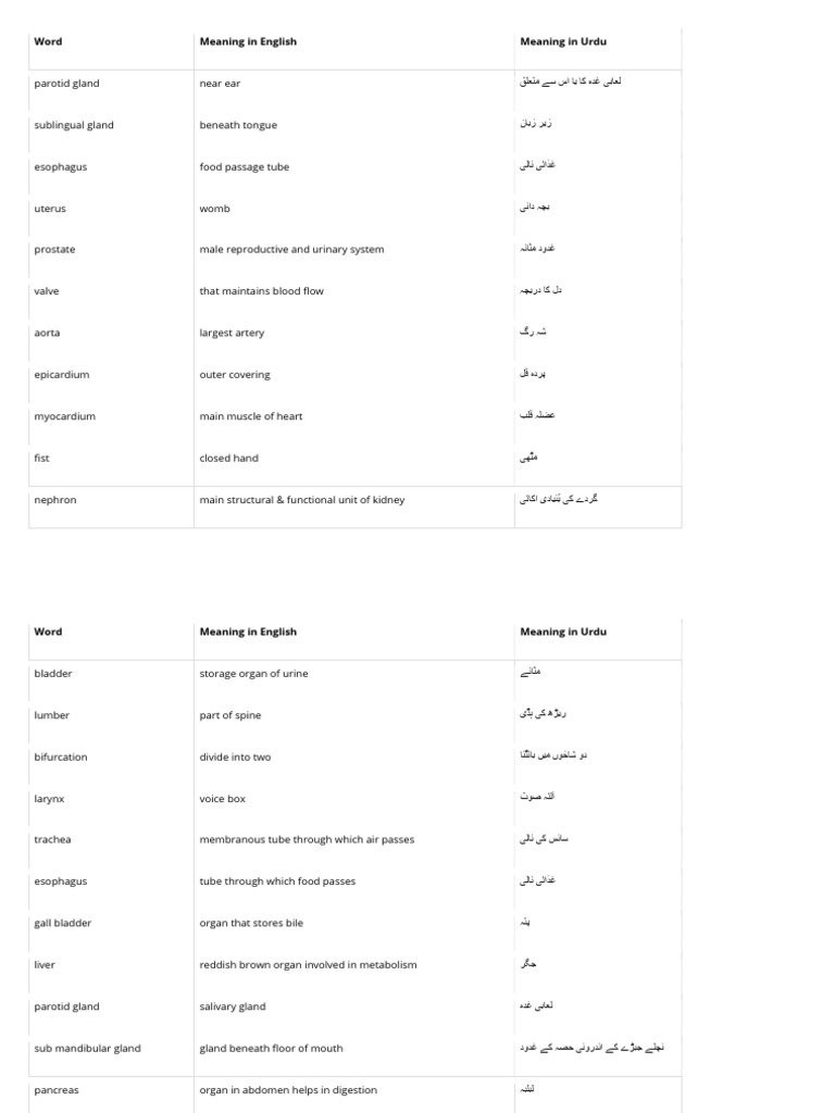 Word Meanings Anatomy and Physiology - PDF Version 1 | PDF | Thorax ...