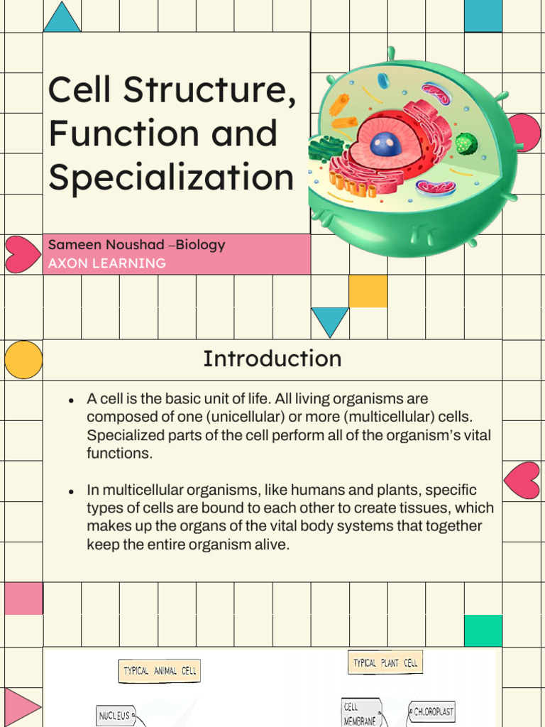 Cell Structure and Specialization Guide | PDF | Cell (Biology ...