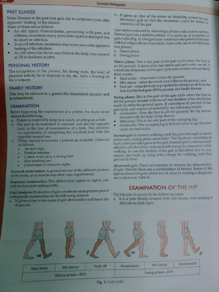 Ortho 1 | PDF