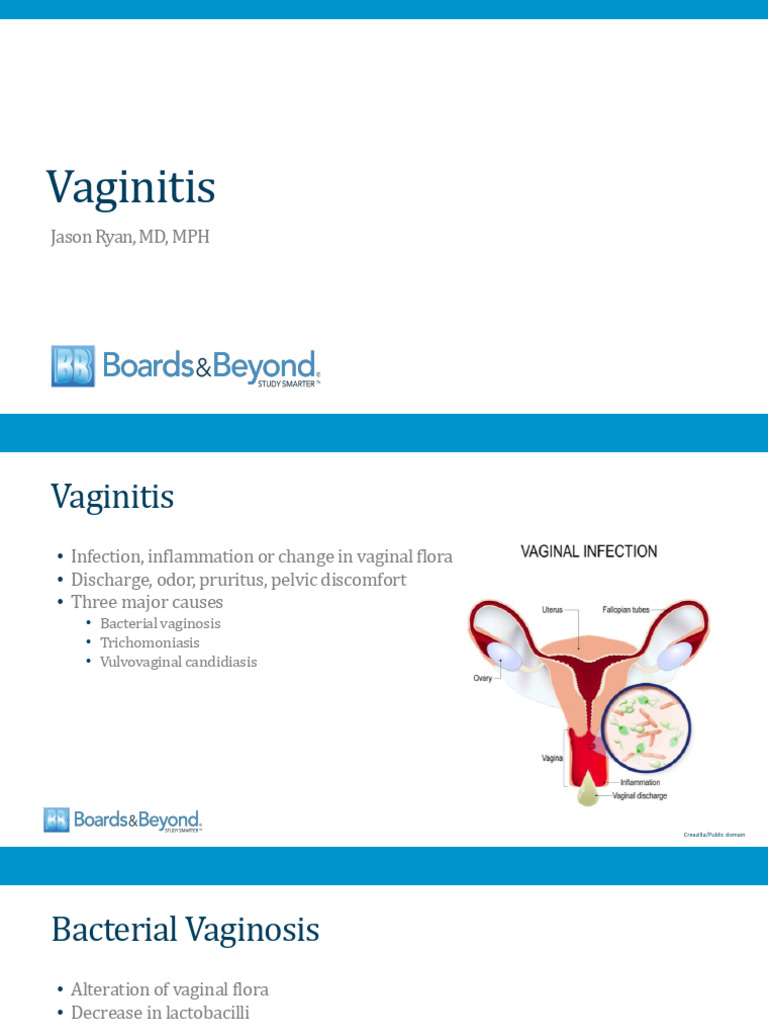 Vaginitis Atf | PDF | Candidiasis | Immunology