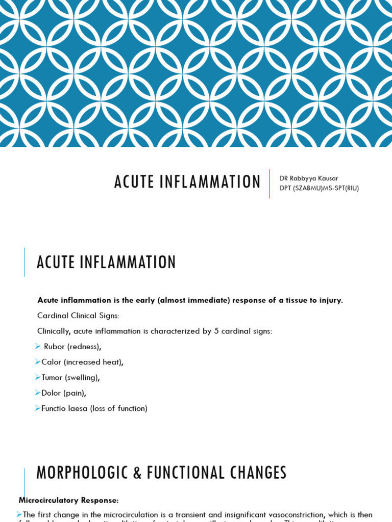 Acute Inflammation | PDF | Vasodilation | Capillary
