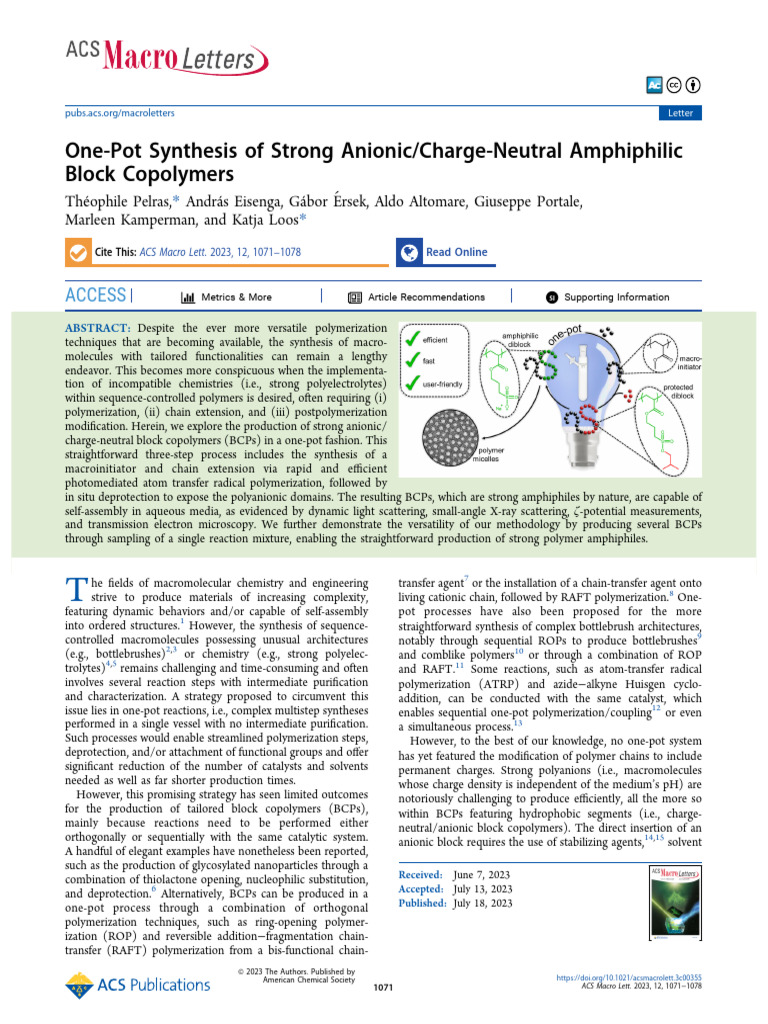 pelras-et-al-2023-one-pot-synthesis-of-strong-anionic-charge-neutral ...