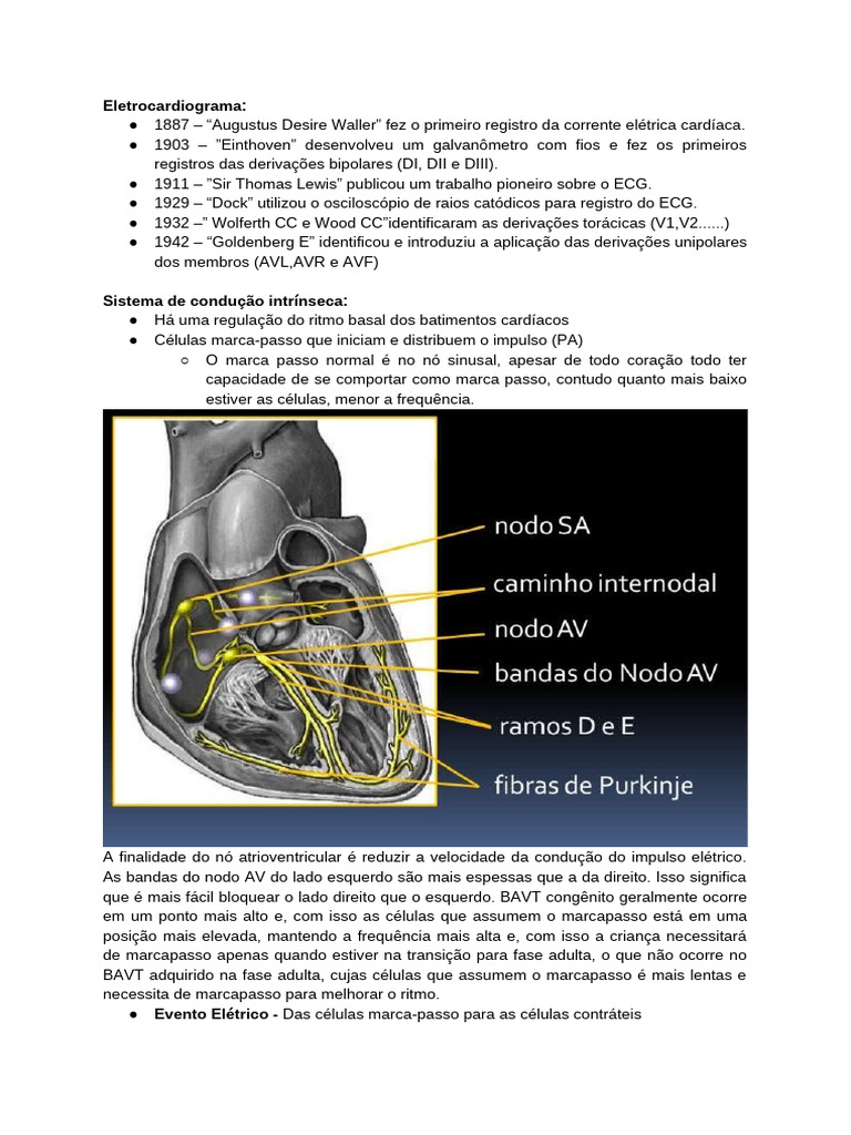 e Let Ro Cardiogram A | PDF | Potencial de ação | Fisiologia