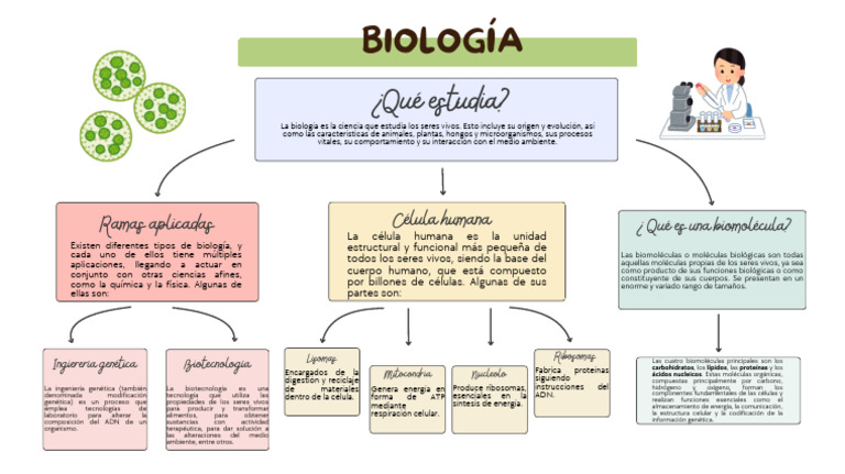 Mapa Conceptual Bertha Margarita Vázquez Hernández 5D_20250823_213616 ...