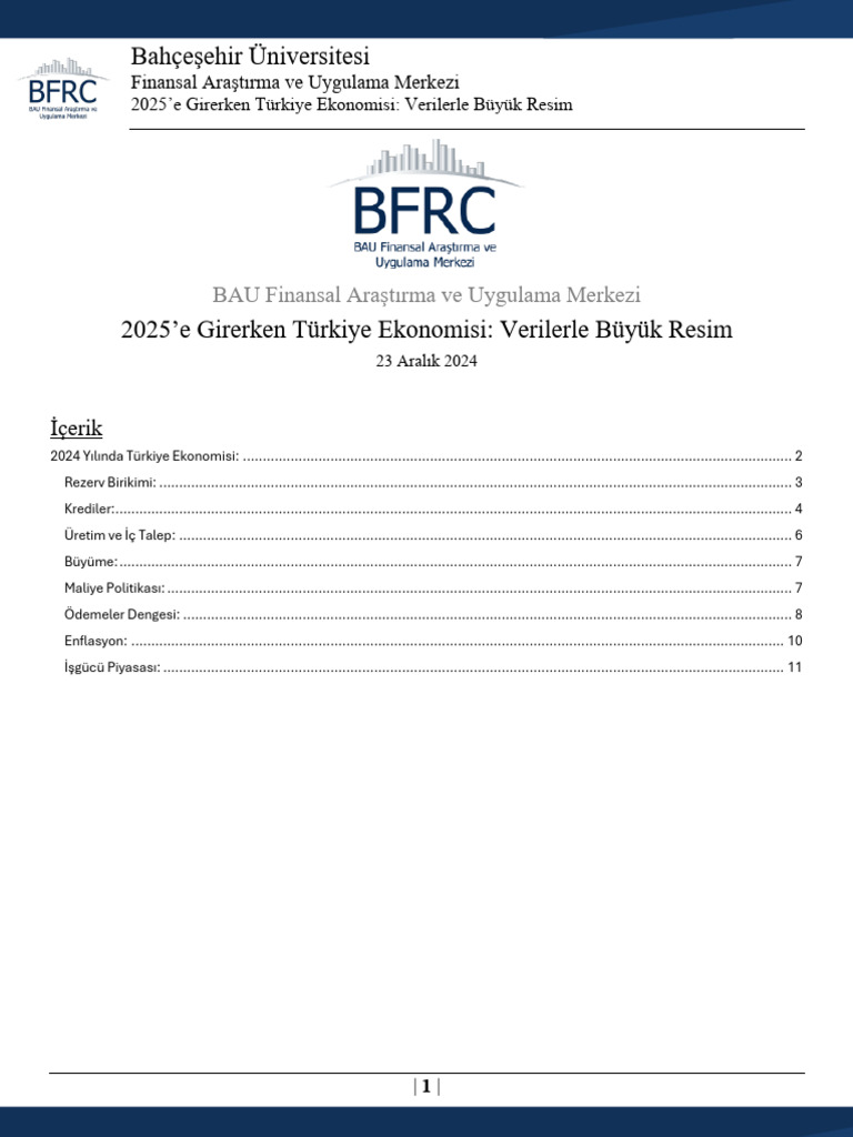 BFRC 2025e Girerken Turkiye Ekonomisi Verilerle Buyuk Resim | PDF