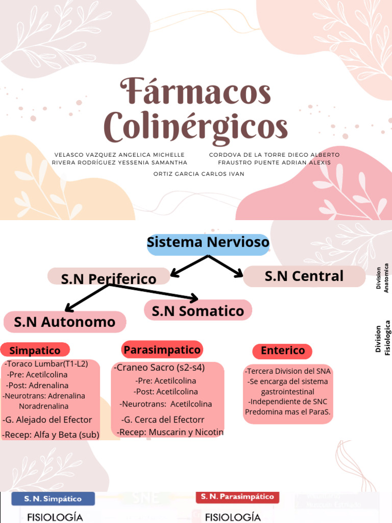 Fármacos Colinérgicos y su Función | PDF | Acetilcolina | Norepinefrina