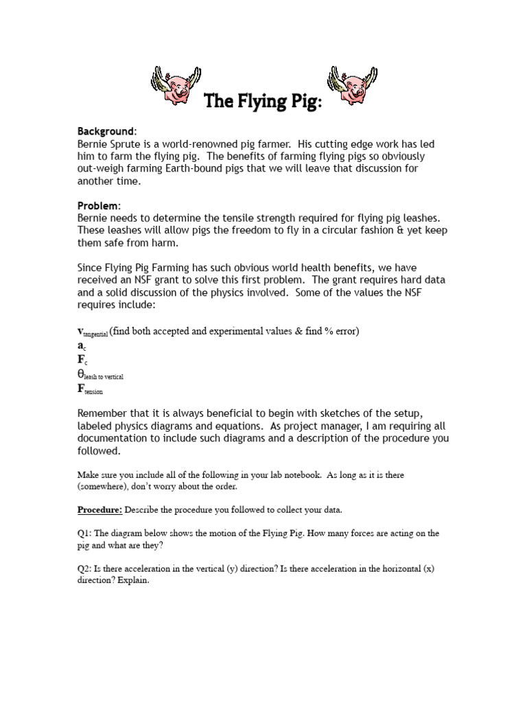 farming-flying-pigs.docx | PDF | Force | Acceleration