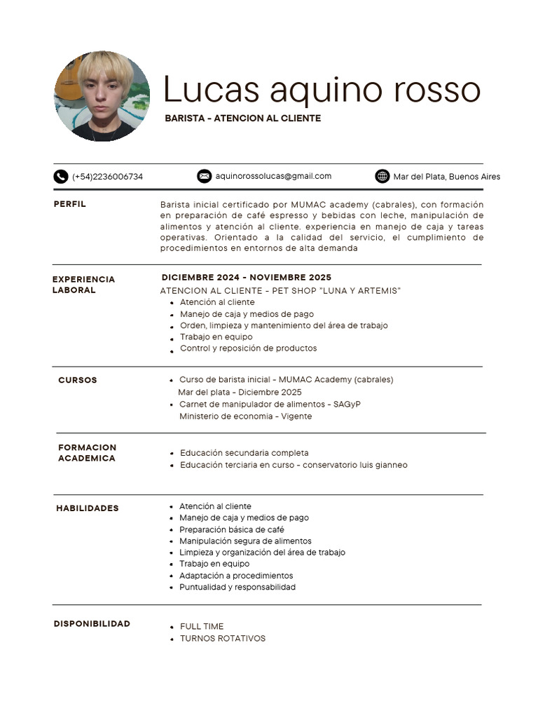 Cv Lucas.pdf | PDF