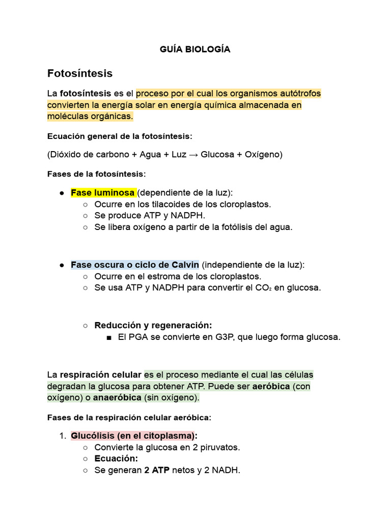 Fotosíntesis y Respiración Celular | PDF