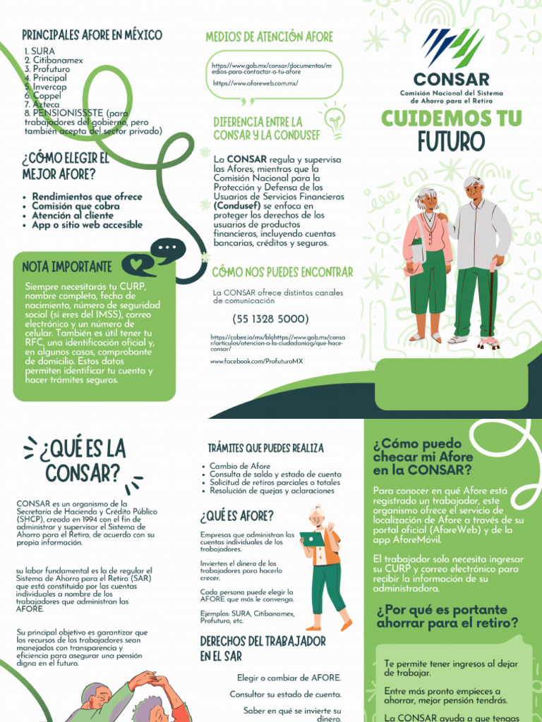 CONSAR (1) | PDF