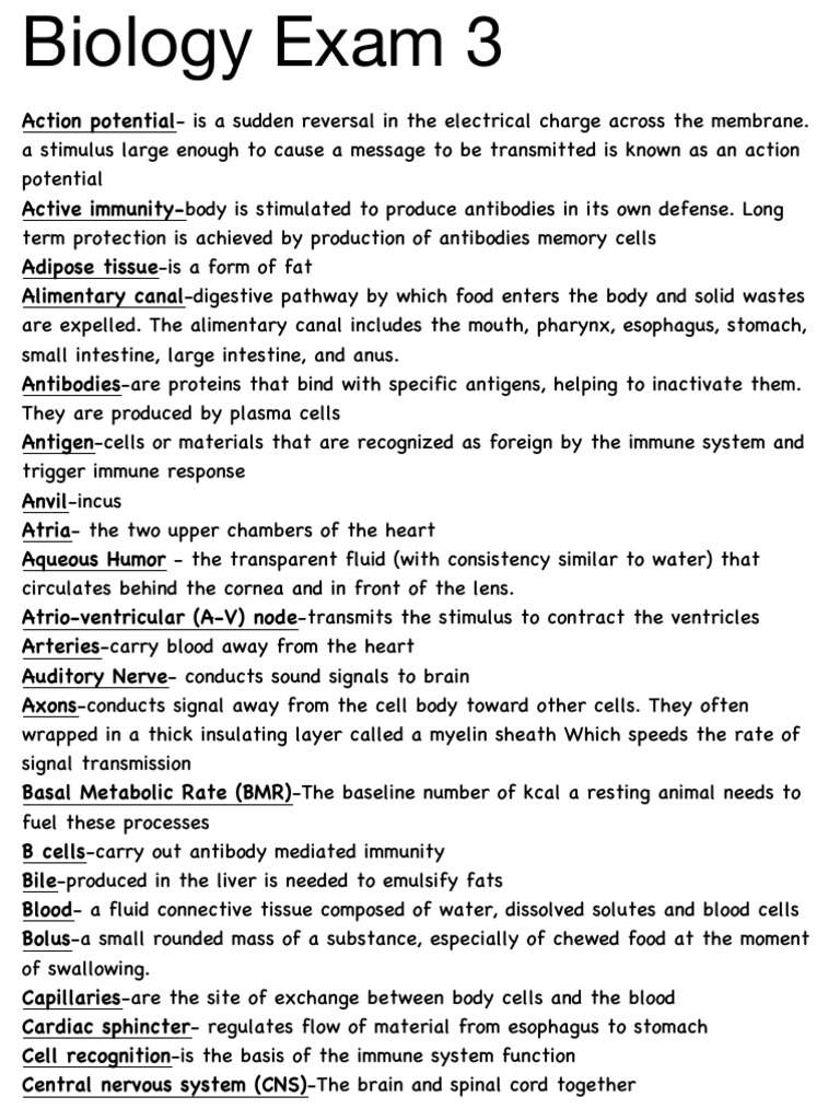 Bio Exam 3 | PDF | Digestion | Neuron