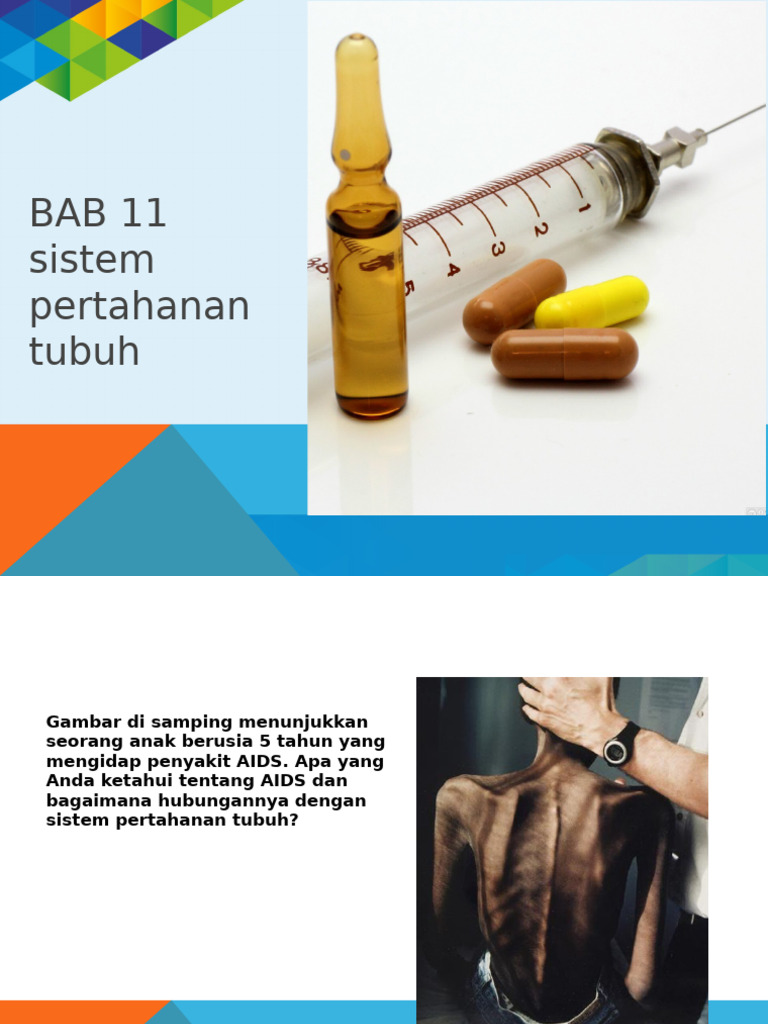 ppt BAB 11 fix | PDF