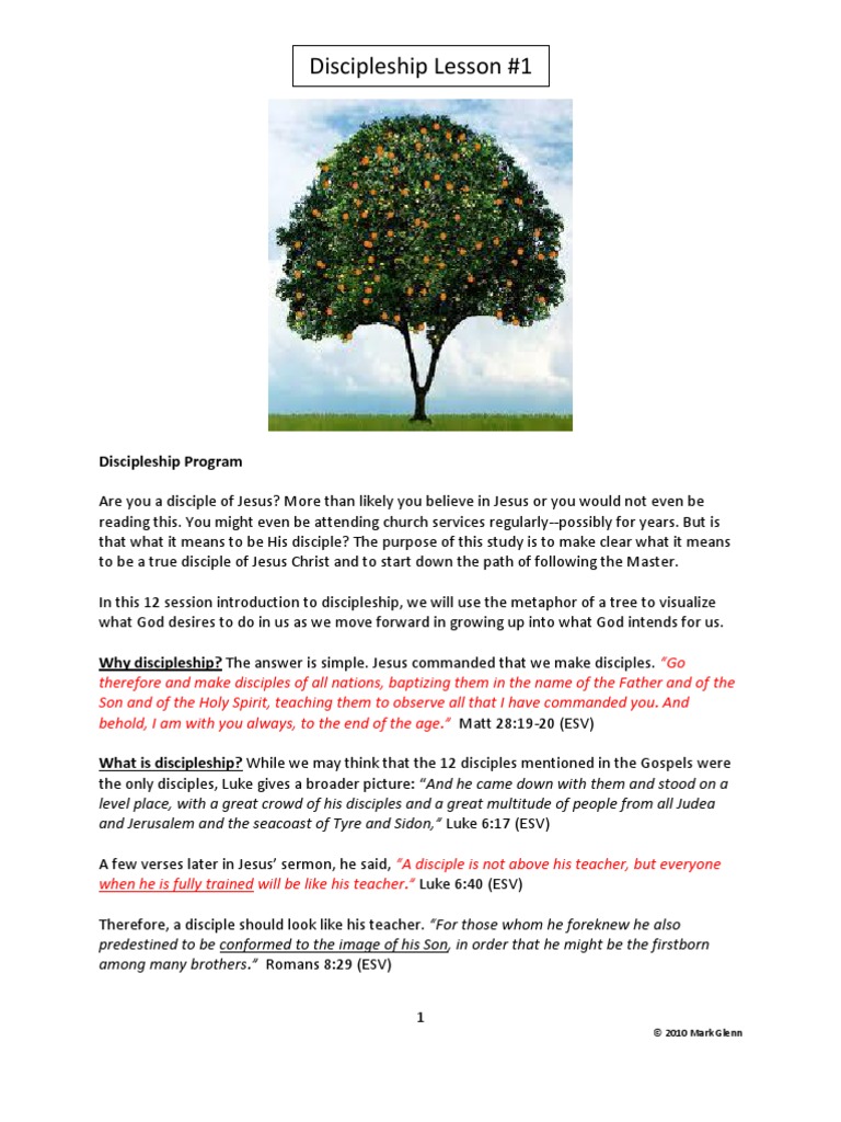 Discipleship Lesson 1 | PDF | Disciple (Christianity) | Gospel Of John