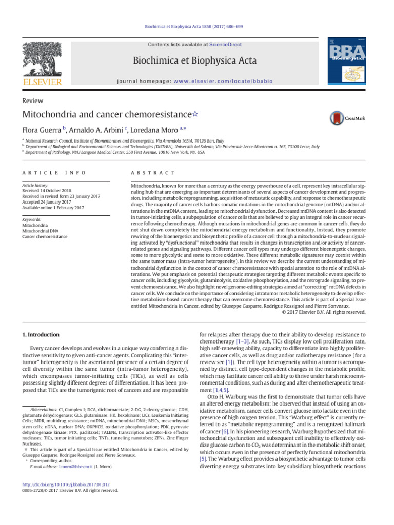 Mitochondrial Dysfunction in Cancer Chemoresistance | PDF ...