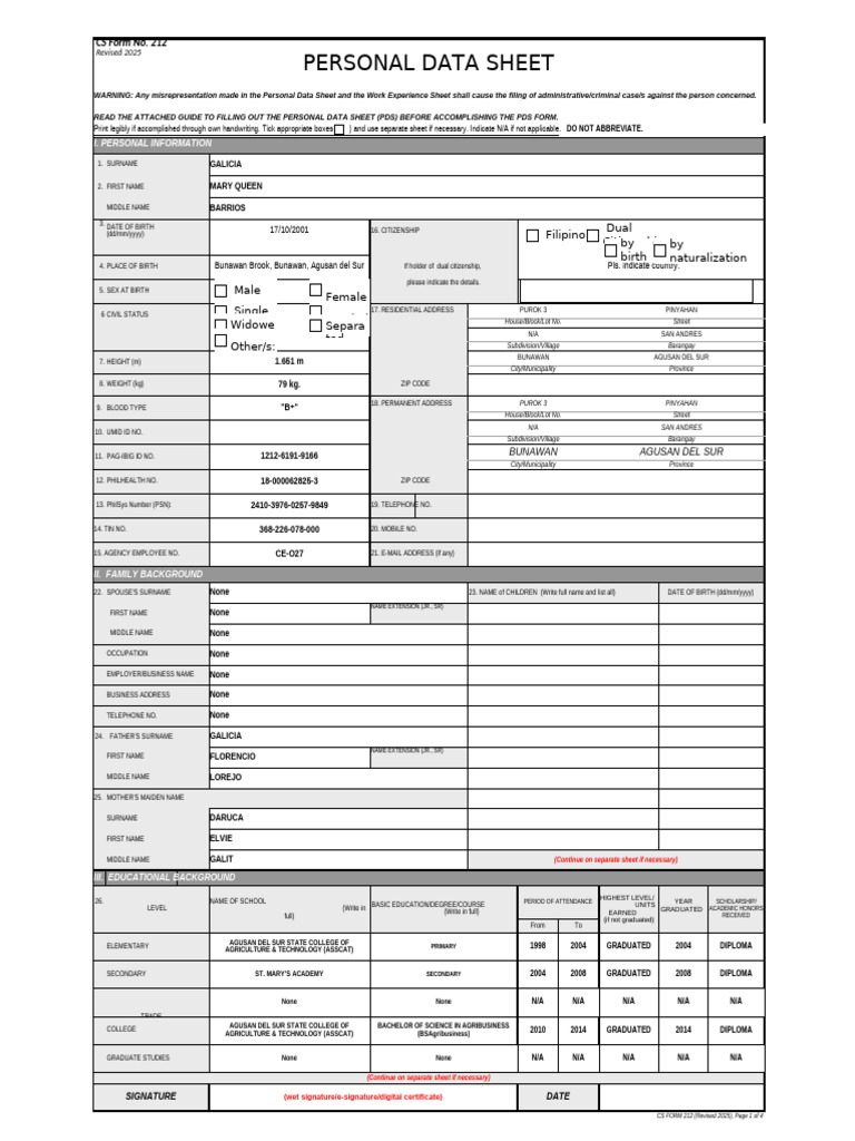 Personal Data Sheet Template | PDF | Government