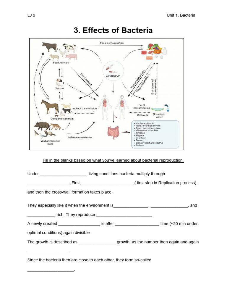 LJ 9_Bacteria_3. Effects of Bacteria Summary Activity | PDF