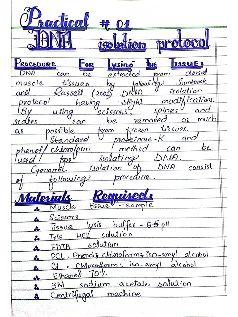 Practicals Sir Khalid | PDF