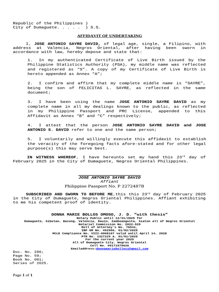 Affidavit of Undertaking David | PDF | Affidavit | Government And ...