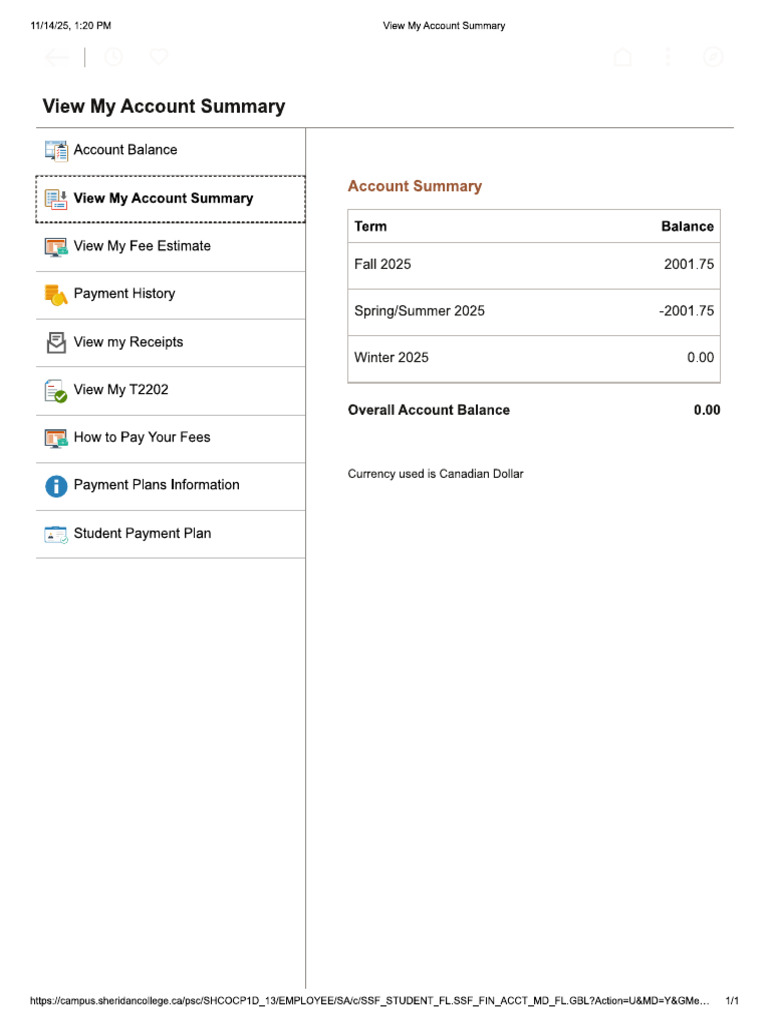 Account Summary | PDF