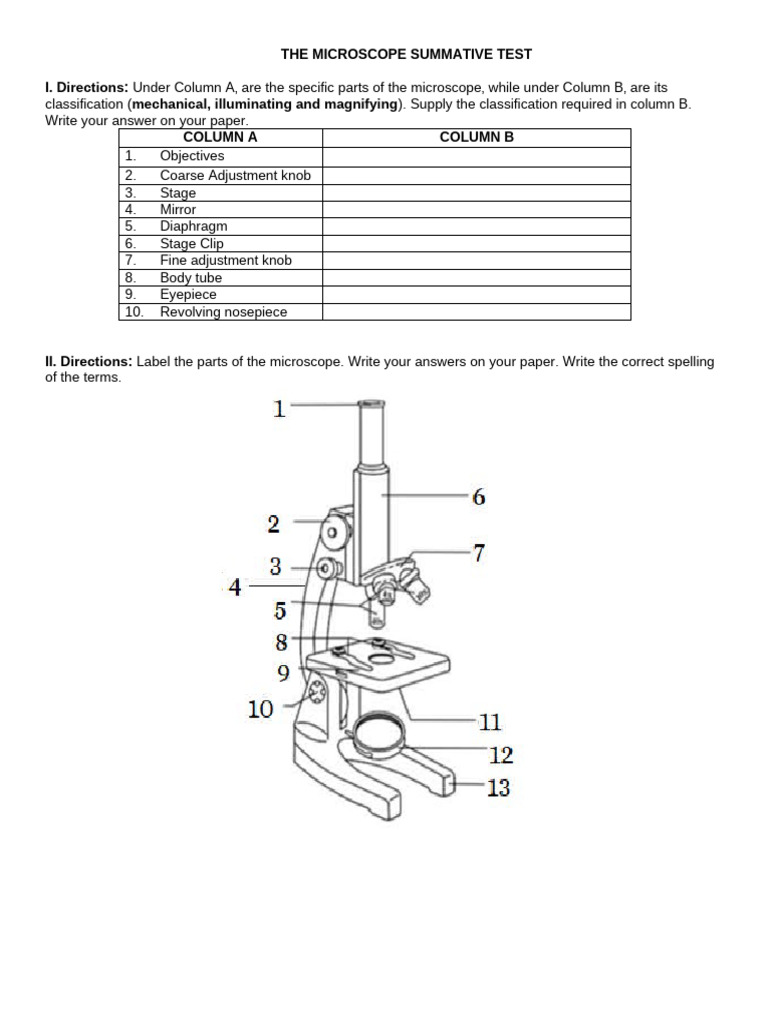 Microscope Parts and Magnification Test | PDF