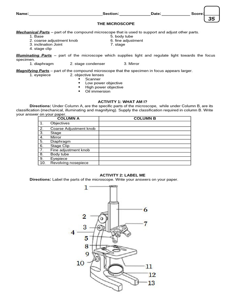 Compound Microscope Parts and Usage | PDF | Electromagnetic Radiation ...