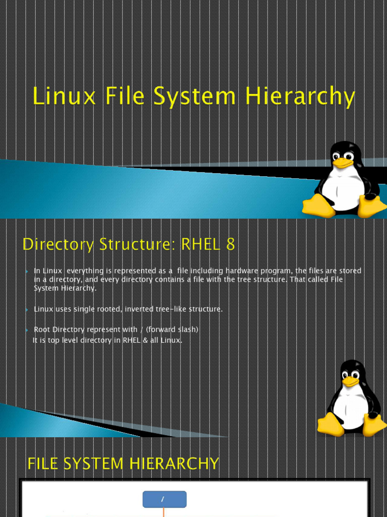 03. File System Hierarchy | PDF | Directory (Computing) | Booting
