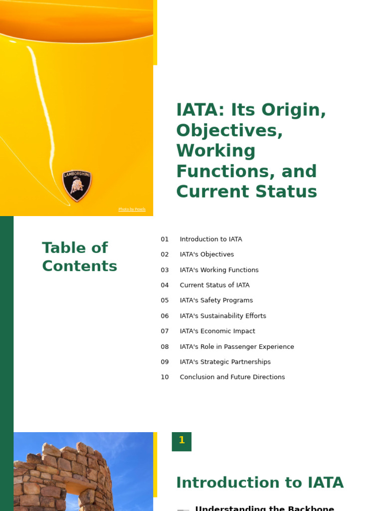 IATA: Objectives, Functions, and Status | PDF | Aviation | Sustainability