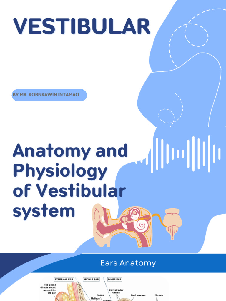 VESTIBULAR 2025 _251212_090233 | PDF | Vertigo | Vestibular System