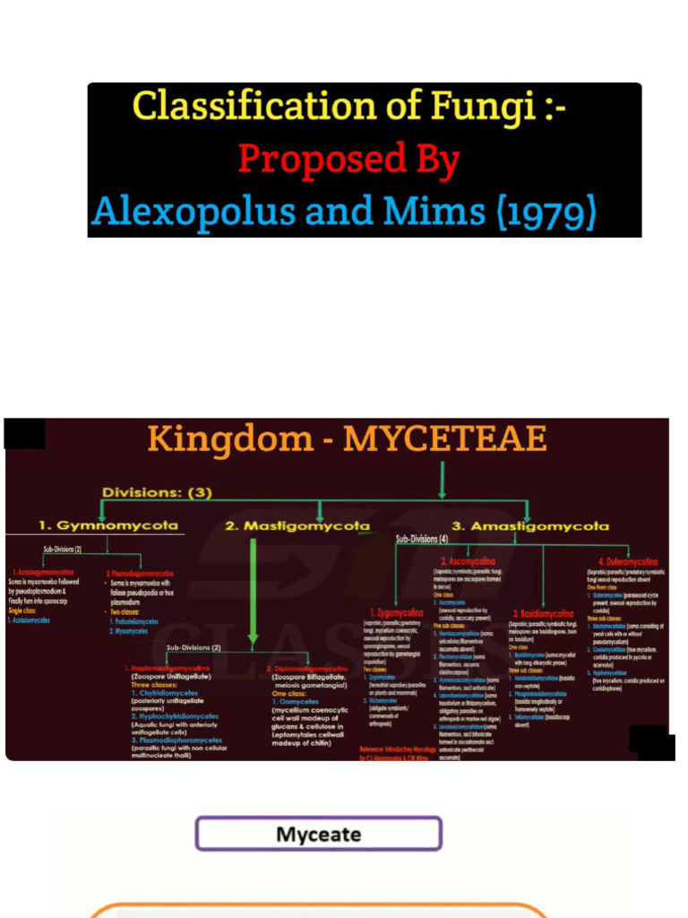 Classification of Fungi | PDF