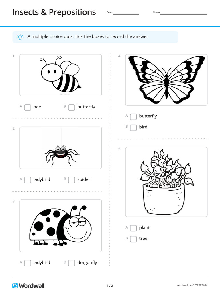 Insects Prepositions Quiz | PDF