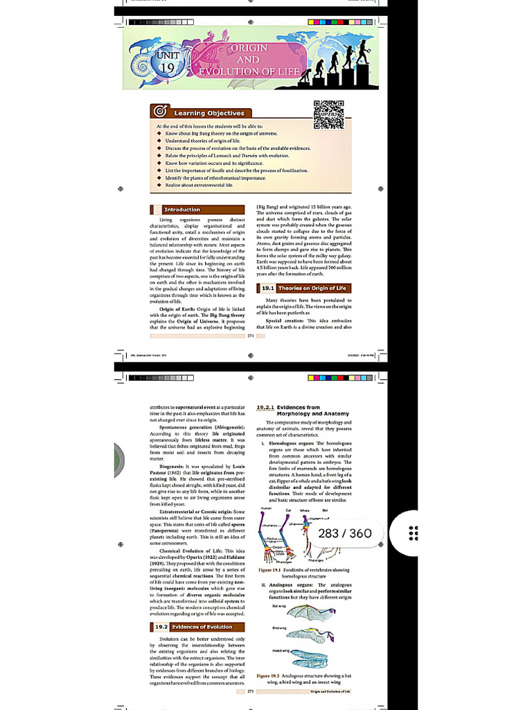CH 19 Science | PDF