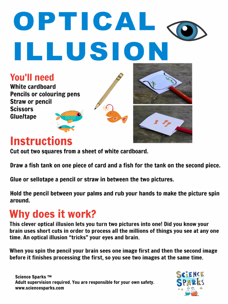 Understanding Optical Illusions Explained | PDF