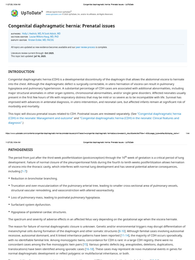 CDH- Prenatal Issues | PDF | Prenatal Development | Fetus