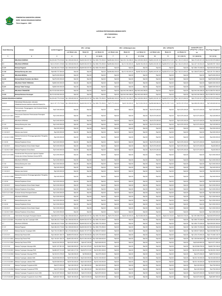 LPJ Fungsional Per 30 Juni 2025 | PDF