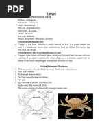 Crab Morphology: Structure and Function | PDF | Abdomen | Crab
