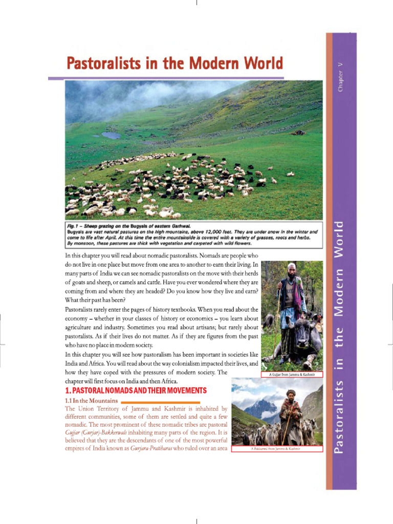 Class 9th History | PDF