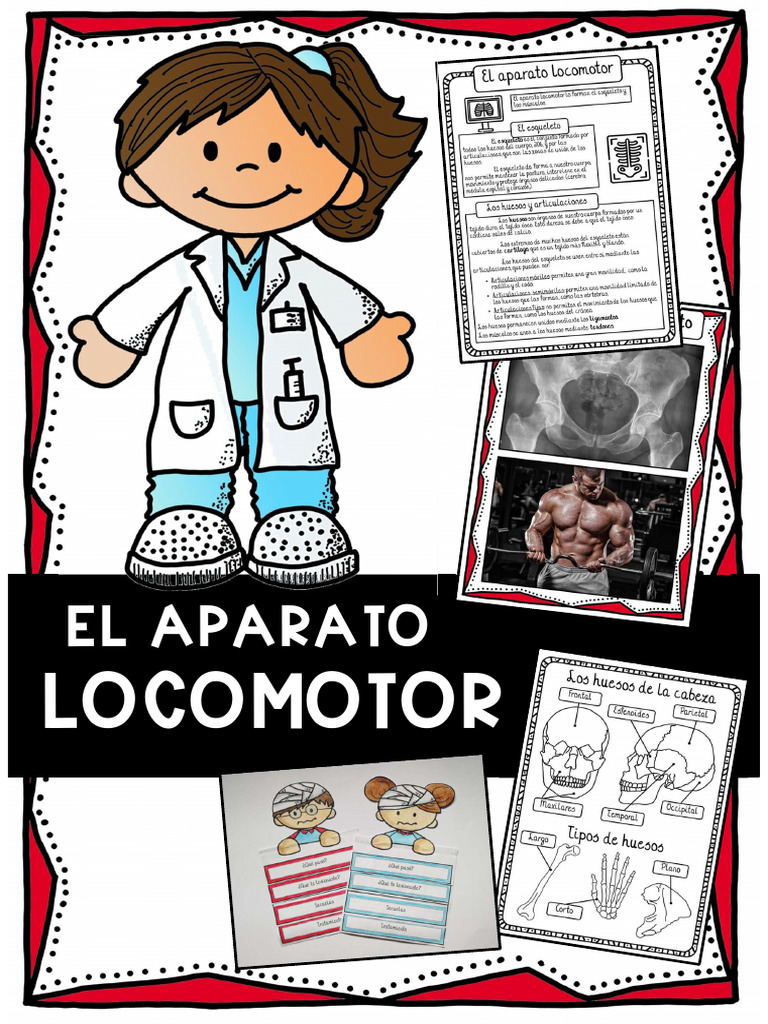 Guía del Aparato Locomotor Escolar | PDF | Esqueleto | Músculo