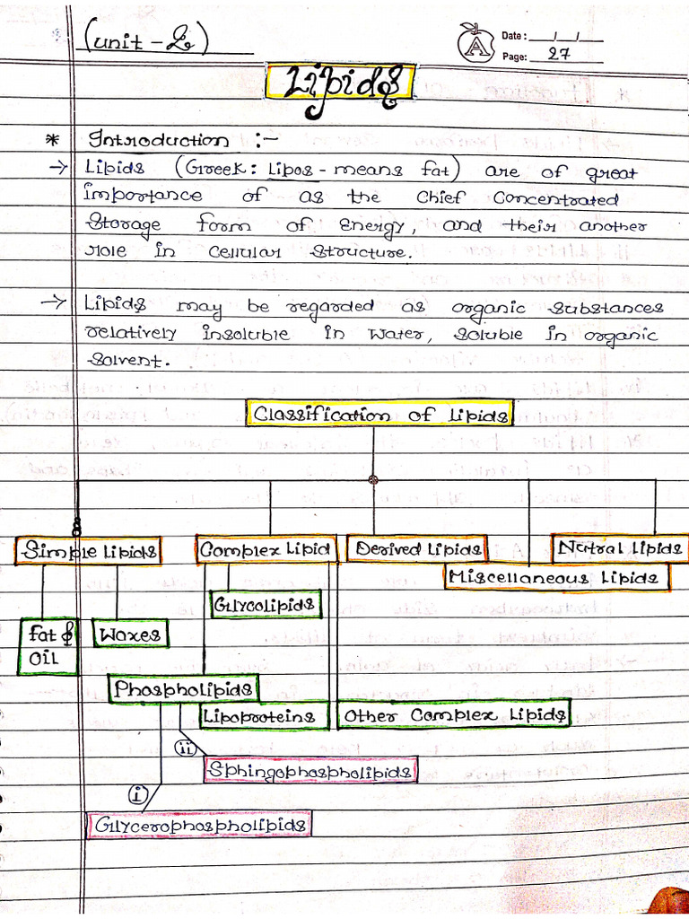 Biochemistry Notes - (Unit 2) - 1 | PDF