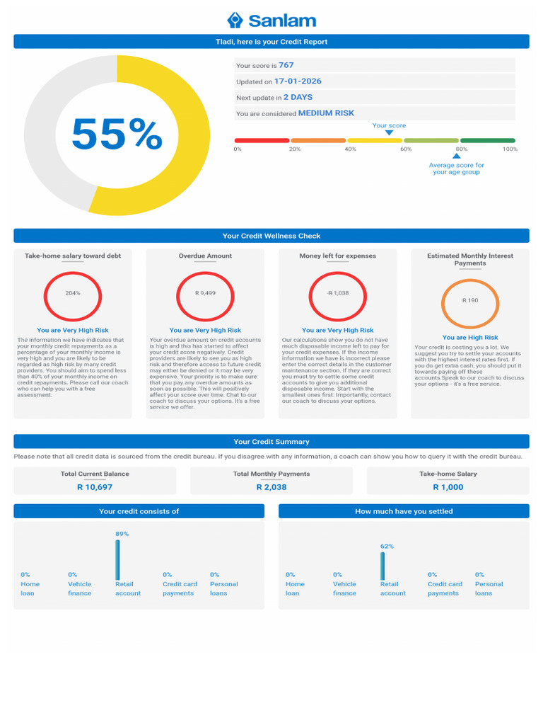 2026-1-17-Tladi Johannes-Your Summary Sanlam Credit Profile | PDF