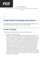 Small Animal Cardiology Auscultation - Vet Visions | PDF | Heart ...